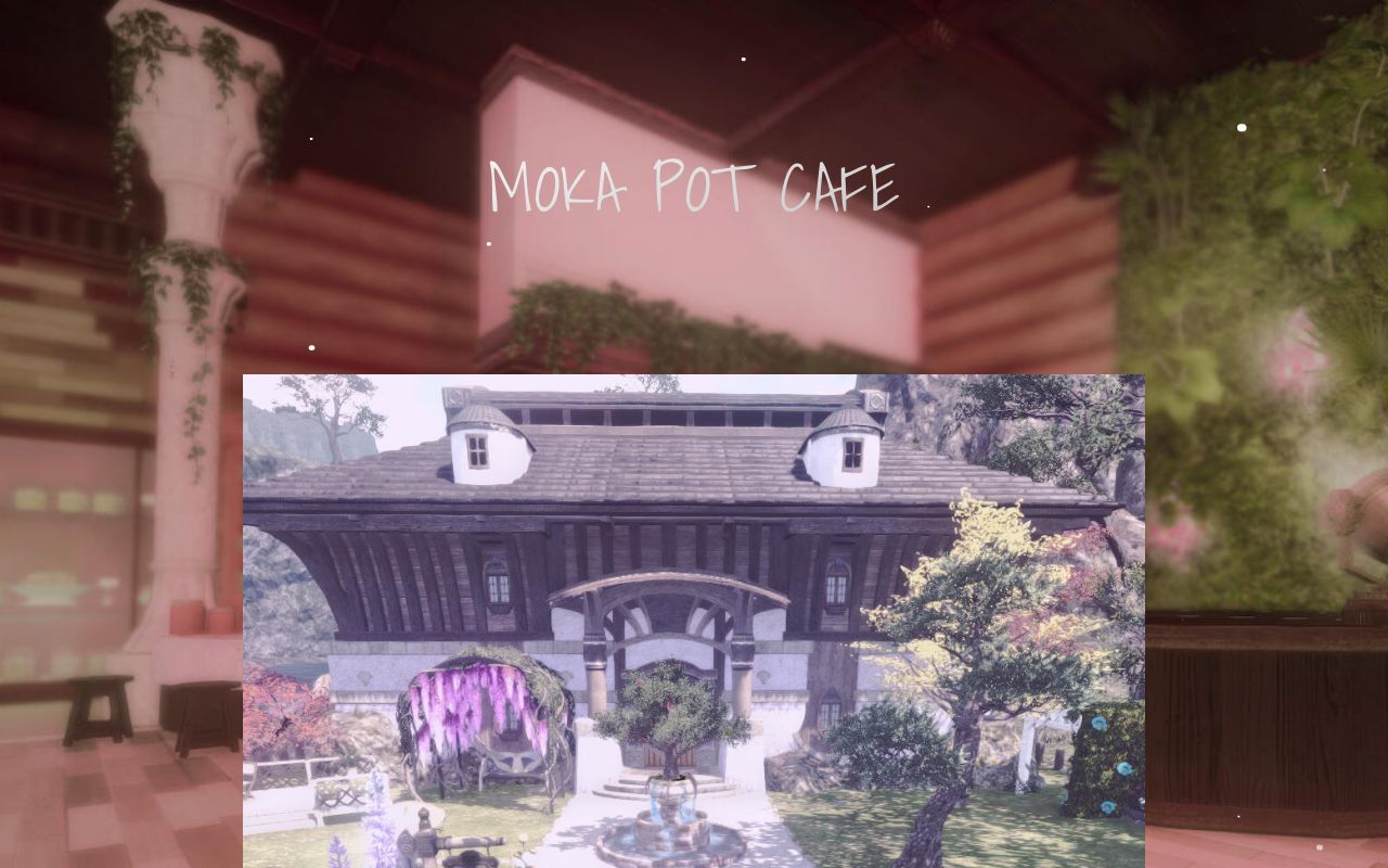 Moka Pot Cafe XIV